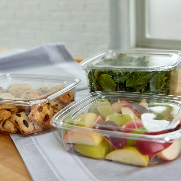 Sandwich Containers - Display Pack